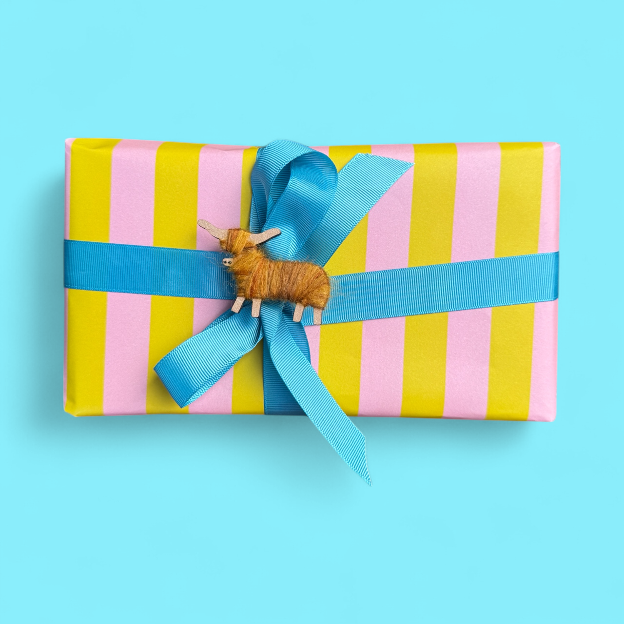 Gifts under £20 – Hairy Coo & Co